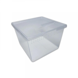 Invertebrate Enclosures | Bug Pets LTD