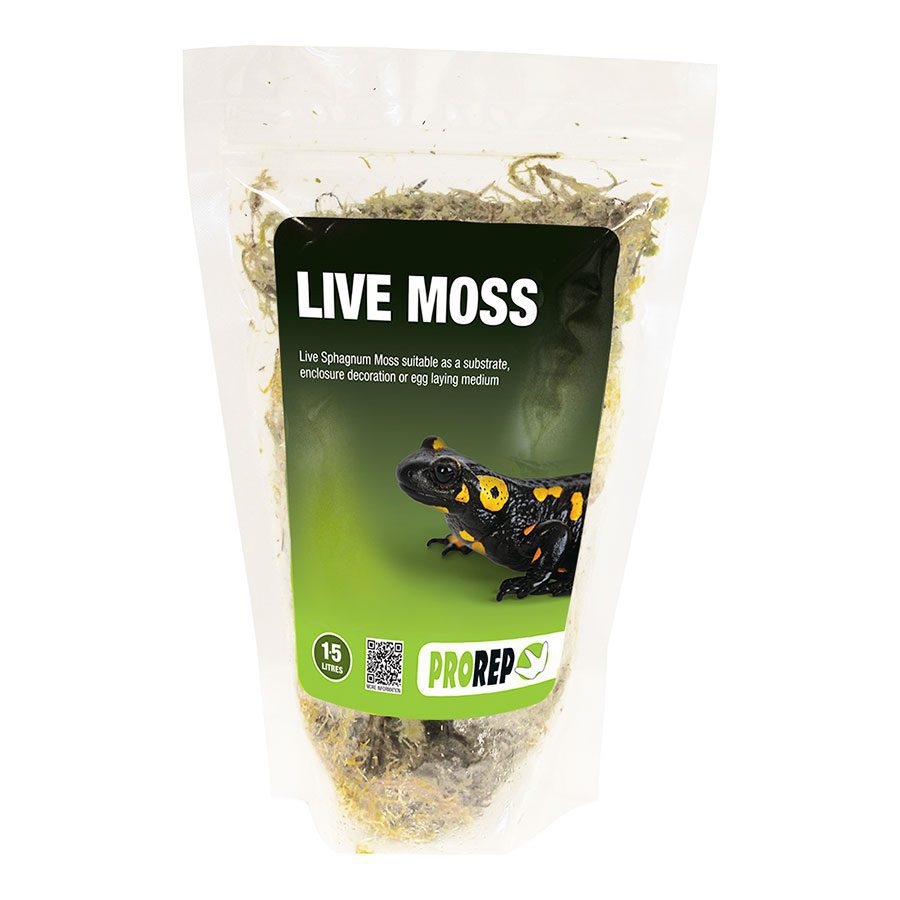 Pro Rep Live Moss, Small Bag | Bug Pets LTD