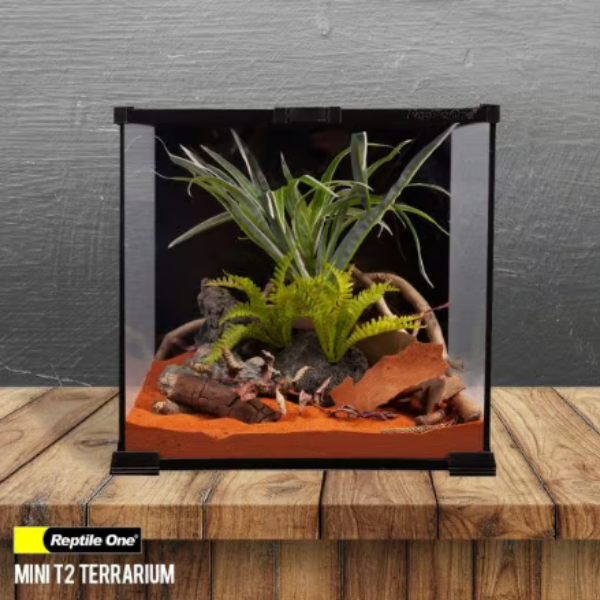 Reptile One Glass Enclosure, 20 X 20 X 20cm | Bug Pets LTD