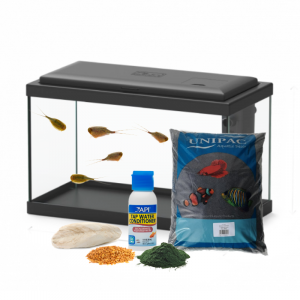 Invertebrate Setups | Next-Day UK Delivery | Bug Pets LTD