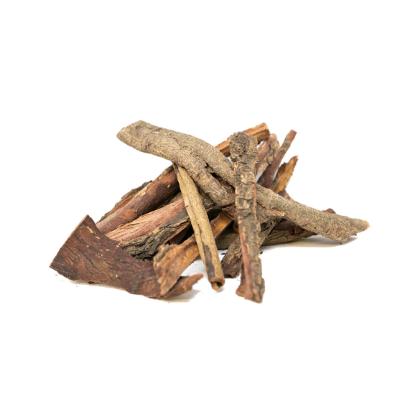 Small Bark Slices | Bug Pets LTD