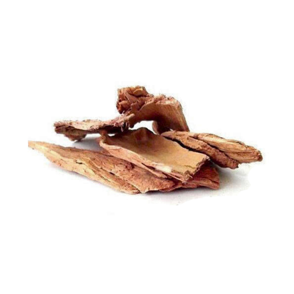 Arjuna Bark Pieces | Bug Pets LTD