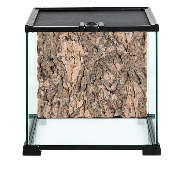 ReptiZoo Forest Bark Terrarium Backing, 15x20cm | Bug Pets LTD