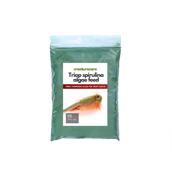 Triop Eggs For Sale | Next-Day UK Delivery | Bug Pets LTD LTD