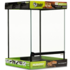 Stick Insect Setup | Bug Pets LTD