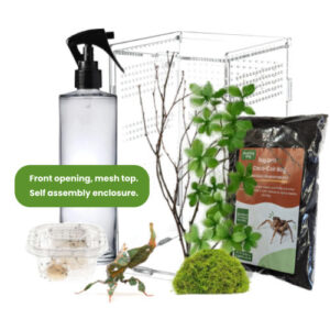 Mantis Starter Kit | Incl Live Mantis, Live Food & Care Guide | Bug ...